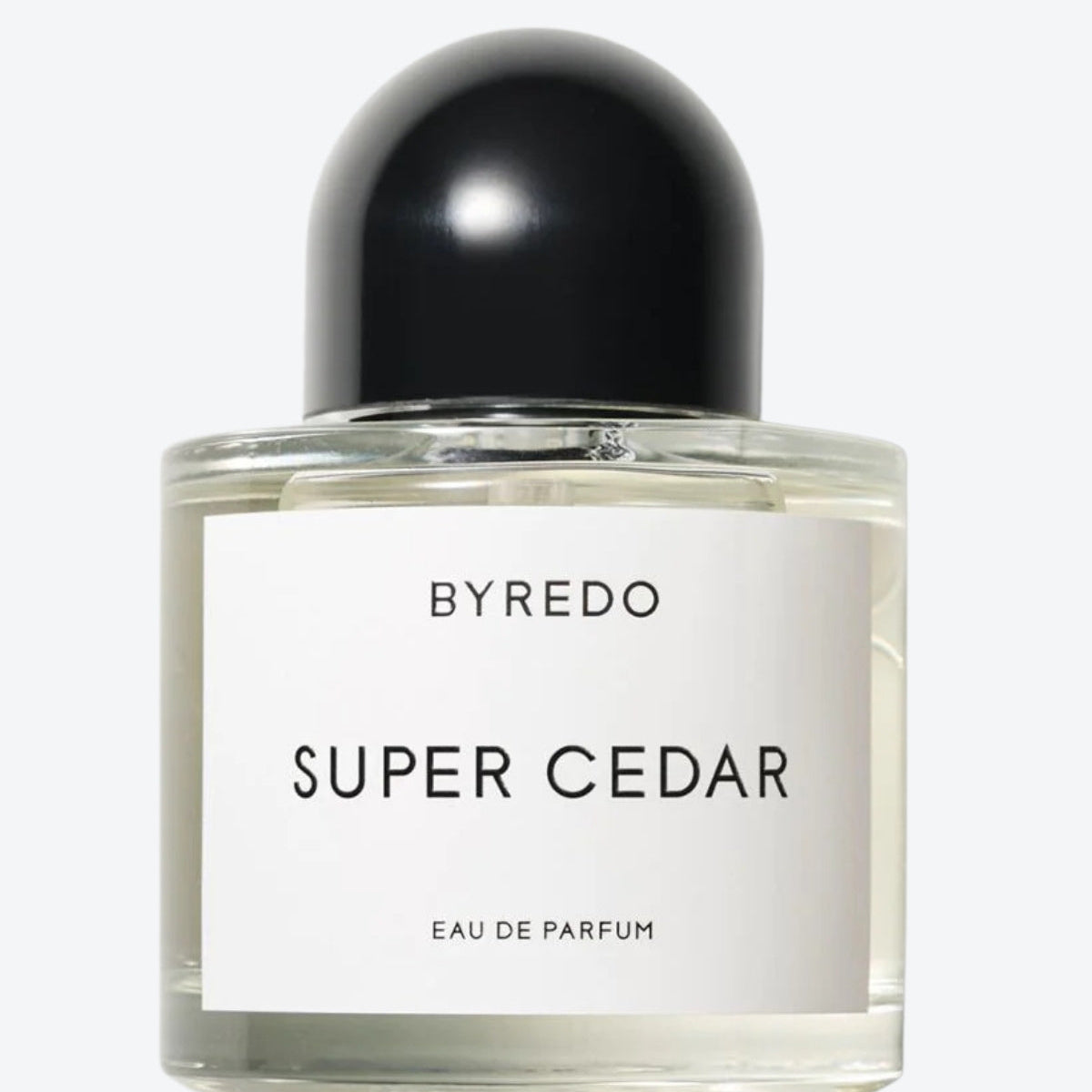 Super Cedar - Eau de Parfum – macciocu.com